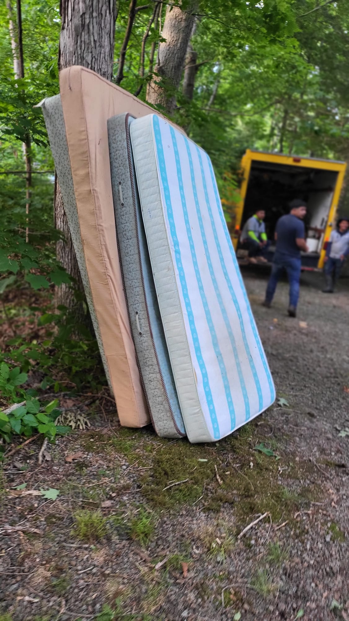 Junk Recycling – Pro Junk Dispatch